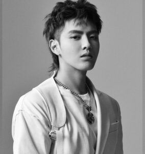 23 Trendiest Asian Mullet Haircuts To Bedazzle Everyone