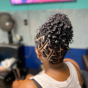 Snake Braids: 15 Spectacular Forms For 15 Different Scenarios!